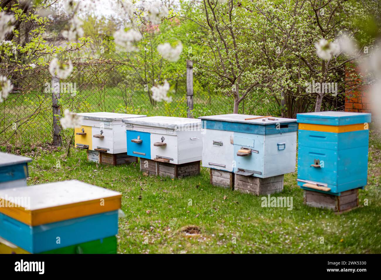 Beehives in the garden in spring. Beekeeping concept. Bees returning ...