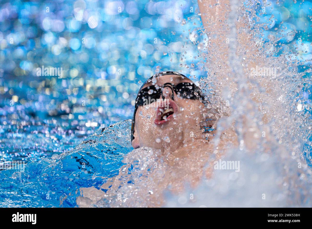 Hunter Armstrong of, USA. , . competes in men's 100 backstroke swimming ...