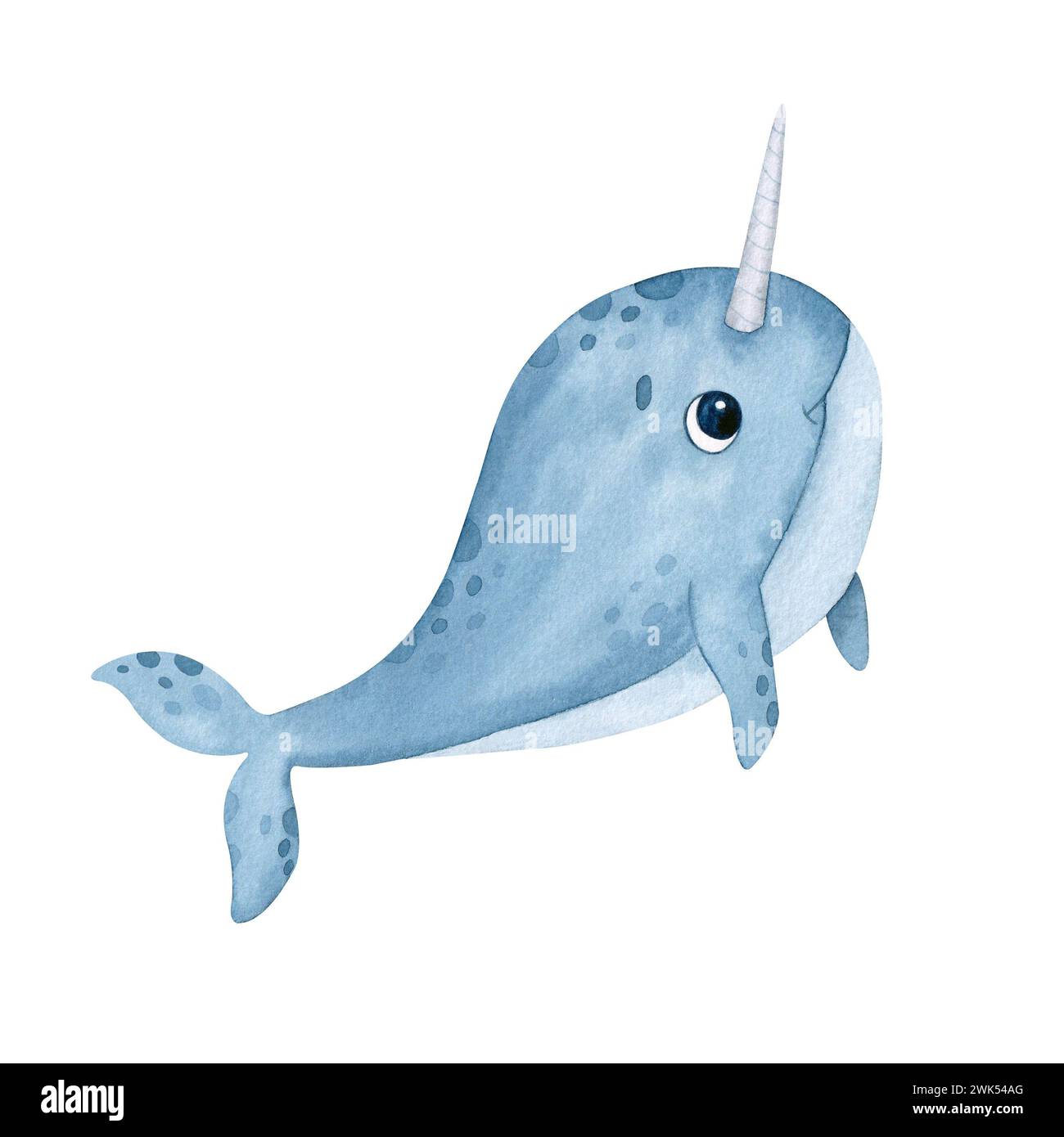Watercolor cute narwhal. Hand drawn illustration isolated on white ...
