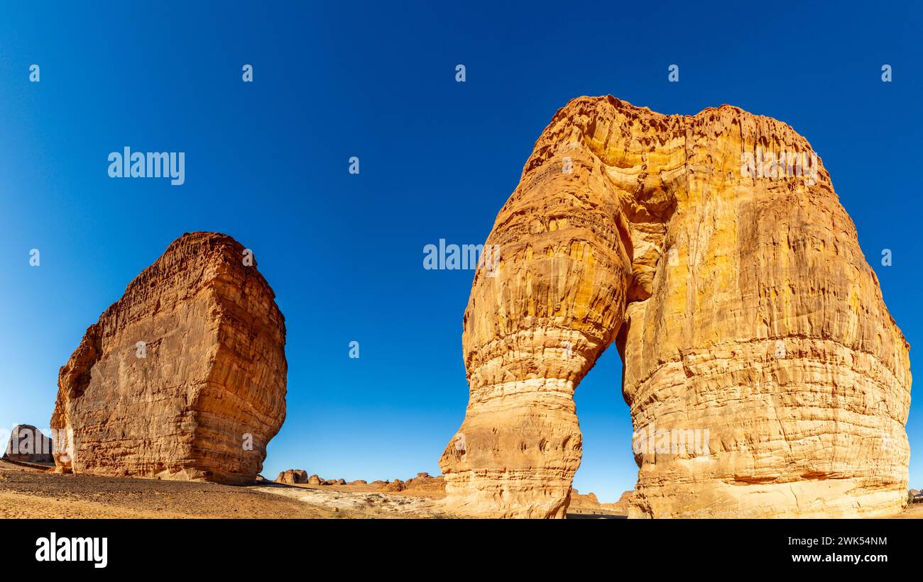 Huge sandstone elephant rock erosion monoliths standing in the desert ...