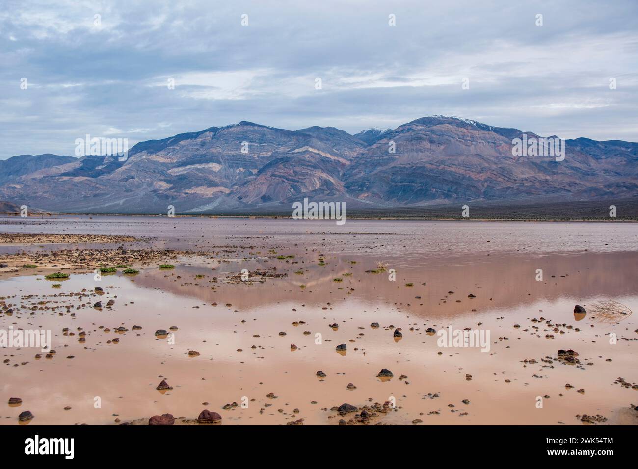 There is lots of water in Panamint Valley right now, in addition to ...