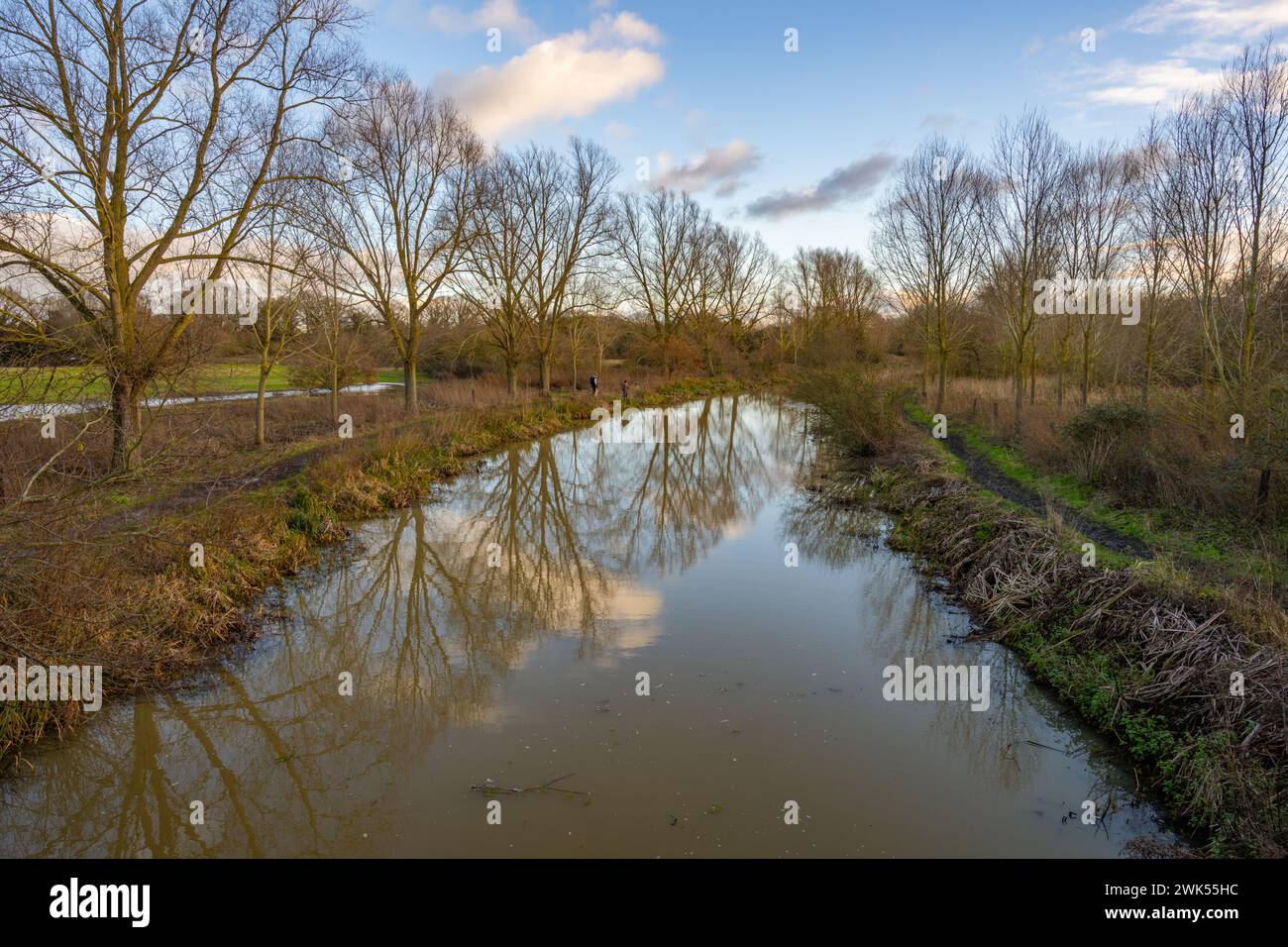 The Chelmar and Blackwater navigation near Beeleigh Lock Stock Photo ...