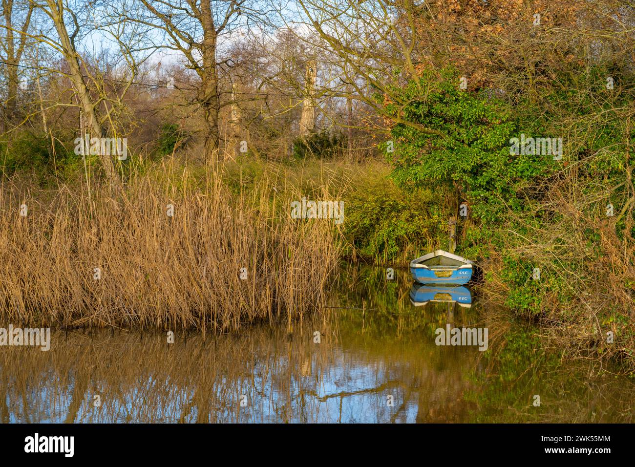 The Chelmar and Blackwater navigation near Beeleigh Lock Stock Photo ...