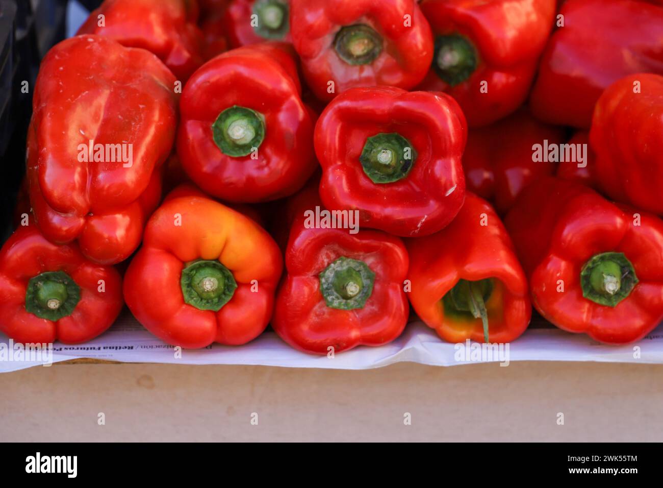 Pimientos rojos pimientos hi-res stock photography and images - Alamy