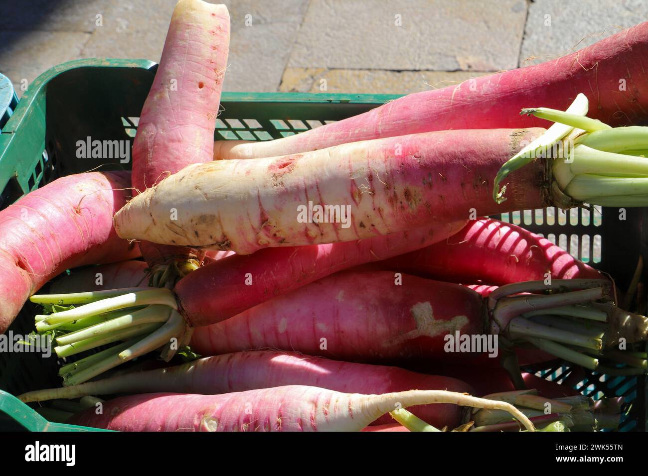 Red turnip hi-res stock photography and images - Alamy