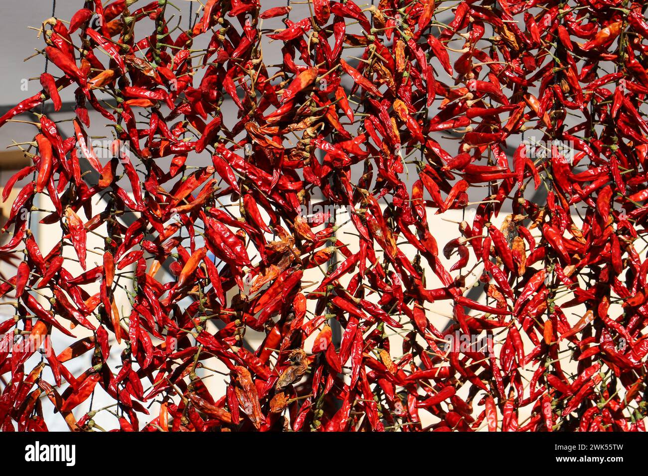 Guindillas hi-res stock photography and images - Alamy