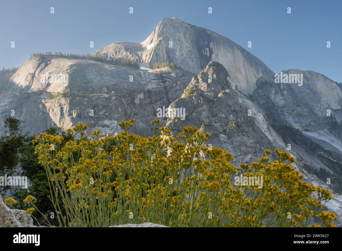 Half dome base from hi-res stock photography and images - Alamy