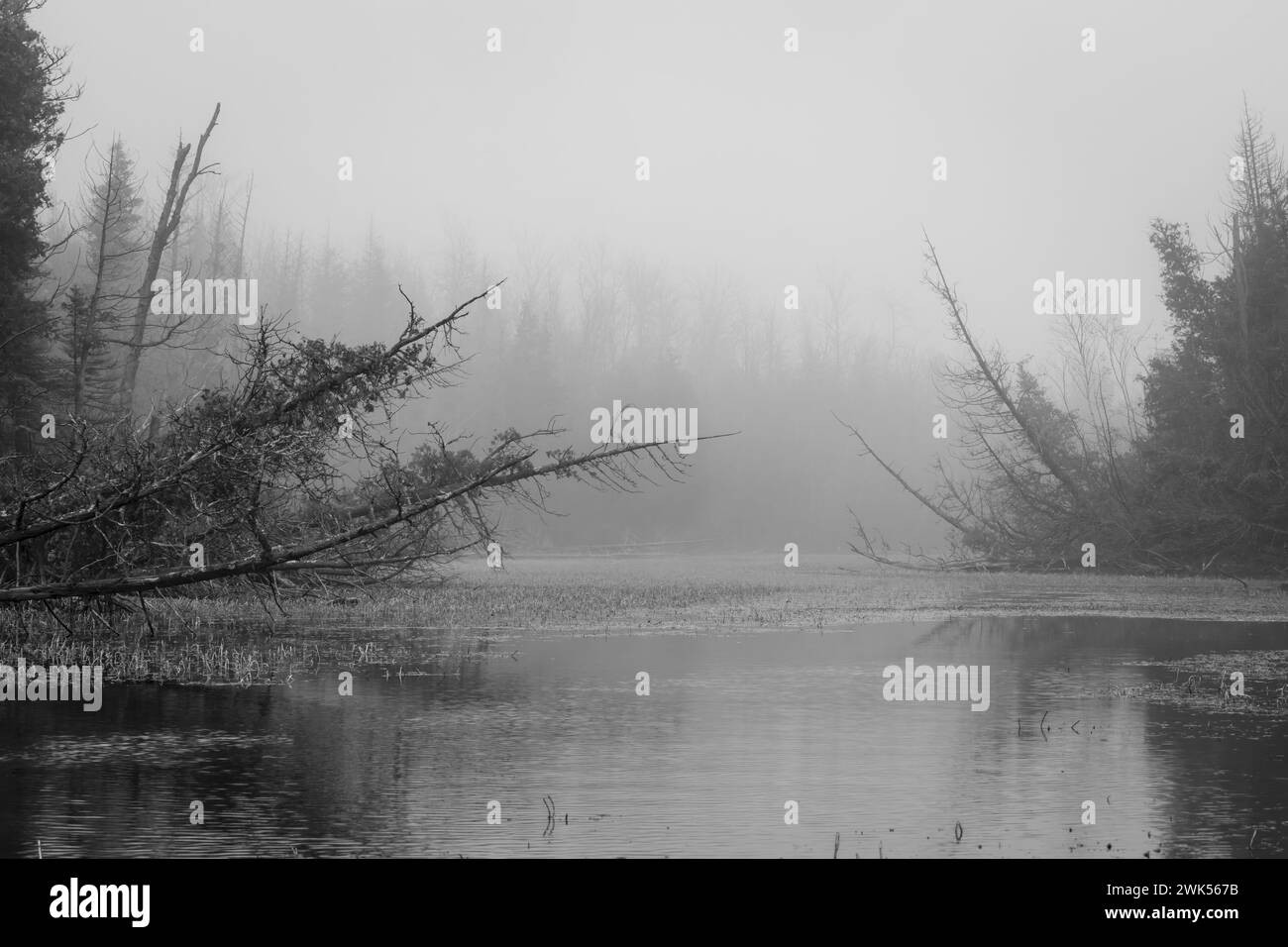 These Black and white images are of the Door County Peninsula located ...