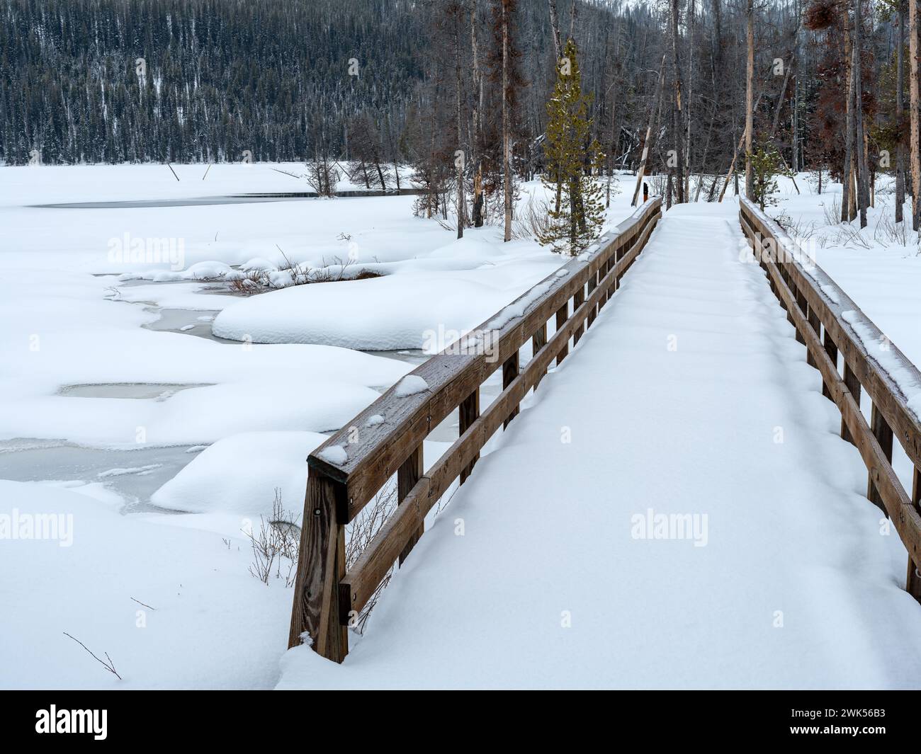 Frozen stanley hi-res stock photography and images - Alamy