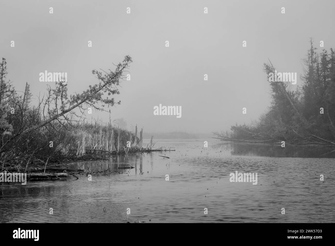 These Black and white images are of the Door County Peninsula located ...