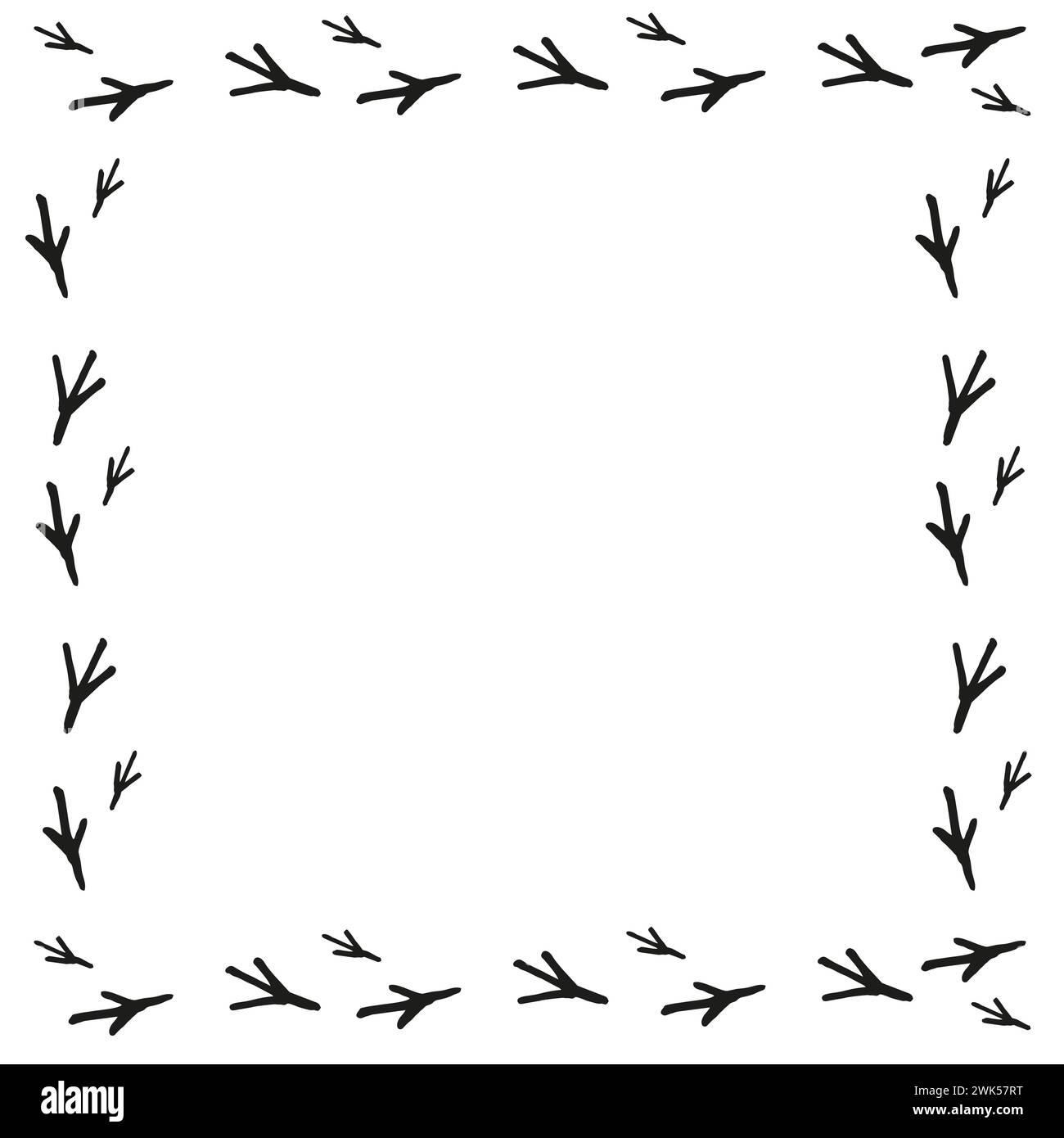 hand drawn vector illustration of bird tracks, frame for your design ...