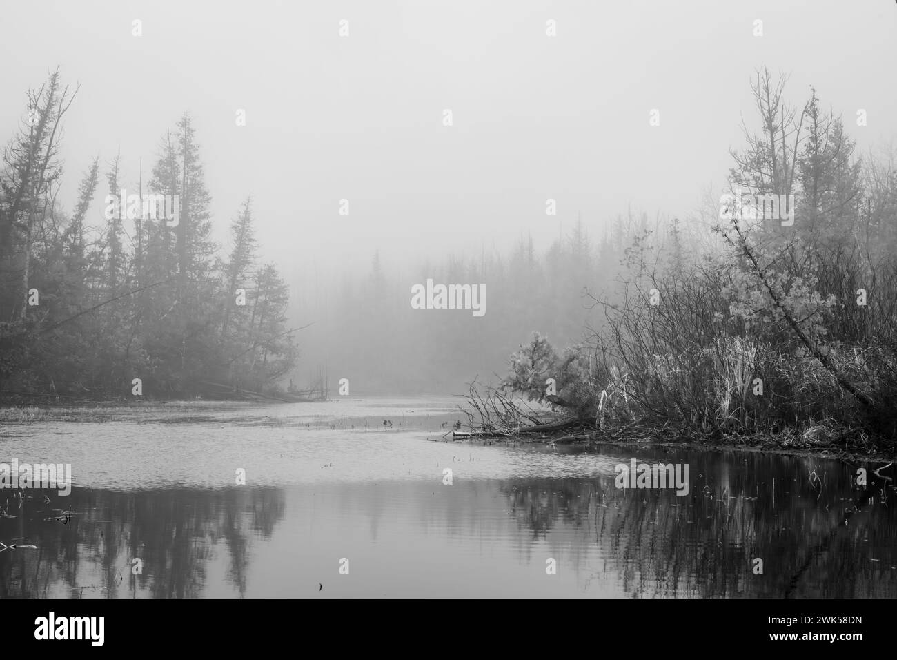 These Black and white images are of the Door County Peninsula located ...