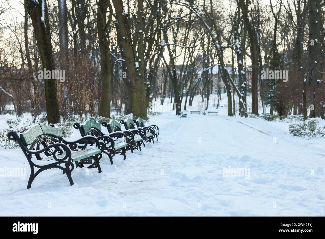 Green benches and trees in snowy park Stock Photo - Alamy
