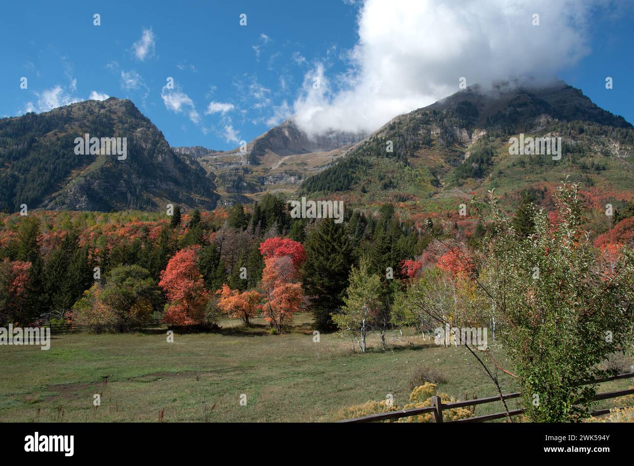Blue salt tree mountains hi-res stock photography and images - Alamy