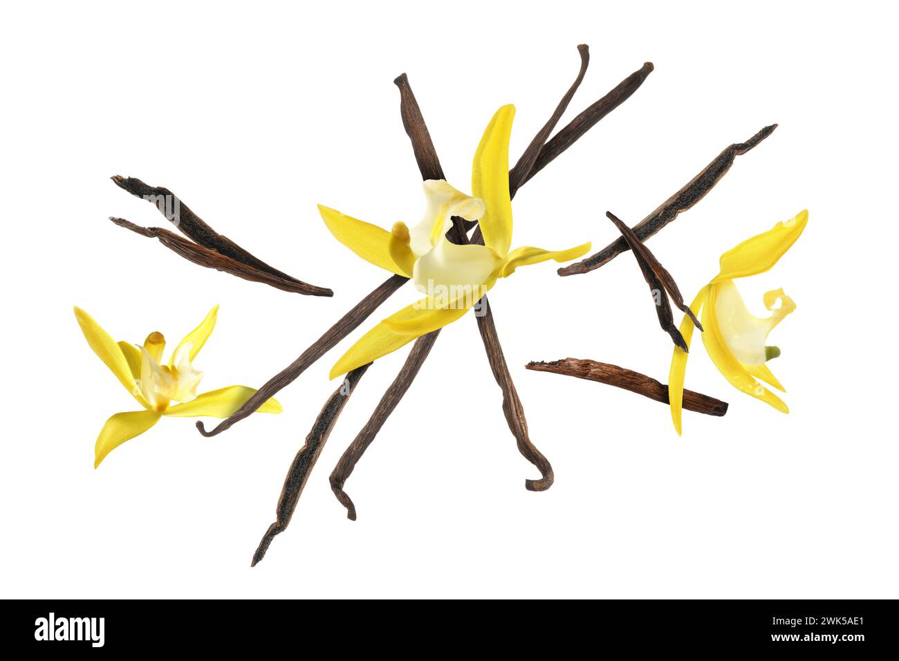 Vanilla pods and yellow flowers falling on white background Stock Photo ...