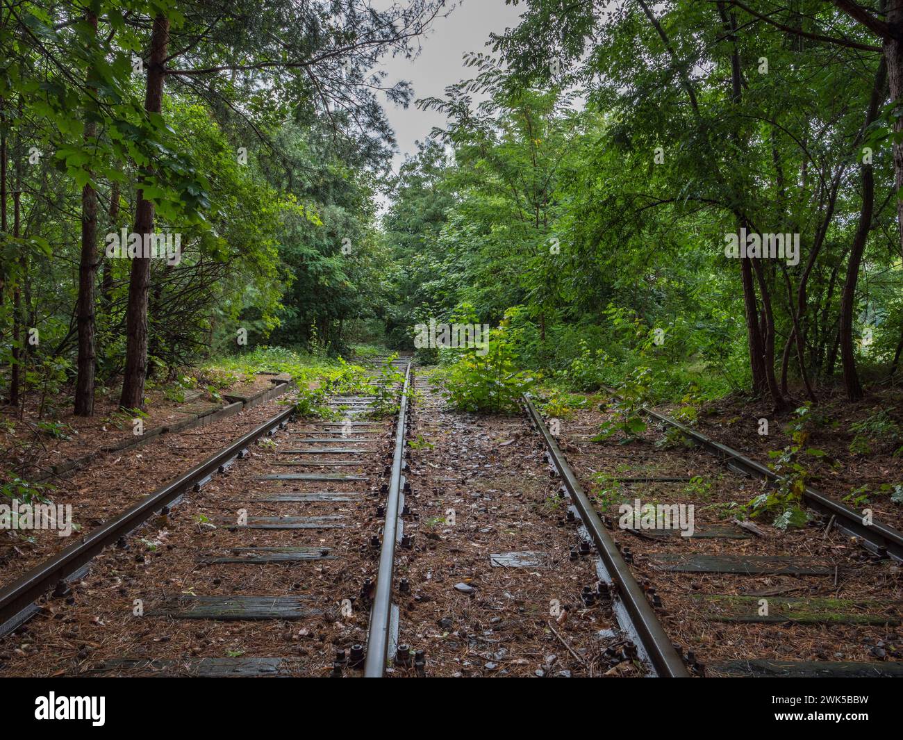 Original tracks disappearing into the trees, Platform 17 Memorial, a ...