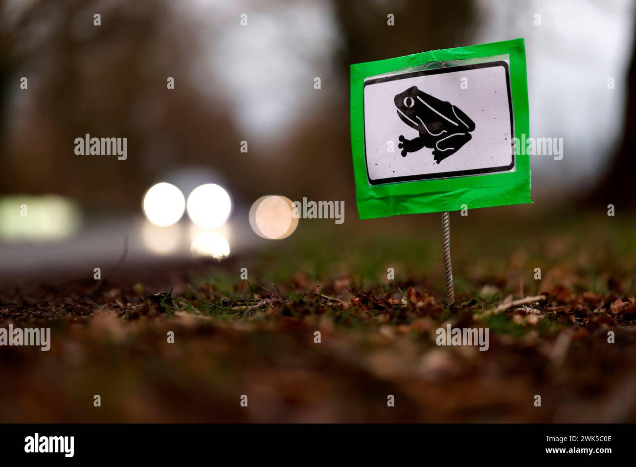 Migration of frogs hi-res stock photography and images - Alamy