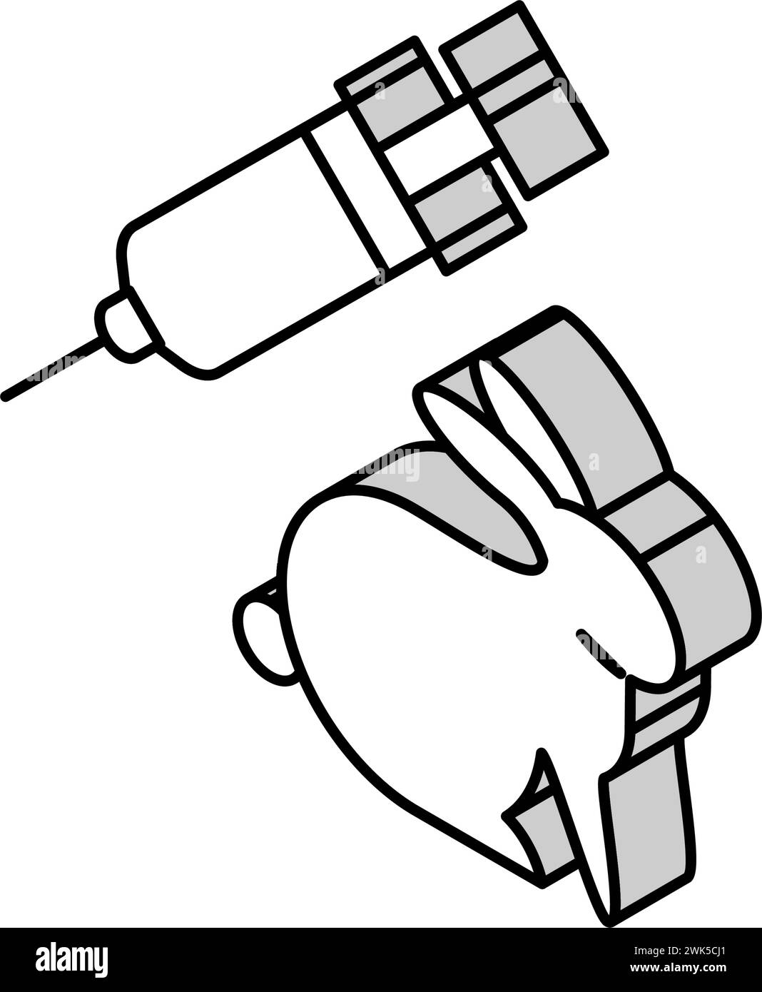 syringe animal isometric icon vector illustration Stock Vector Image ...