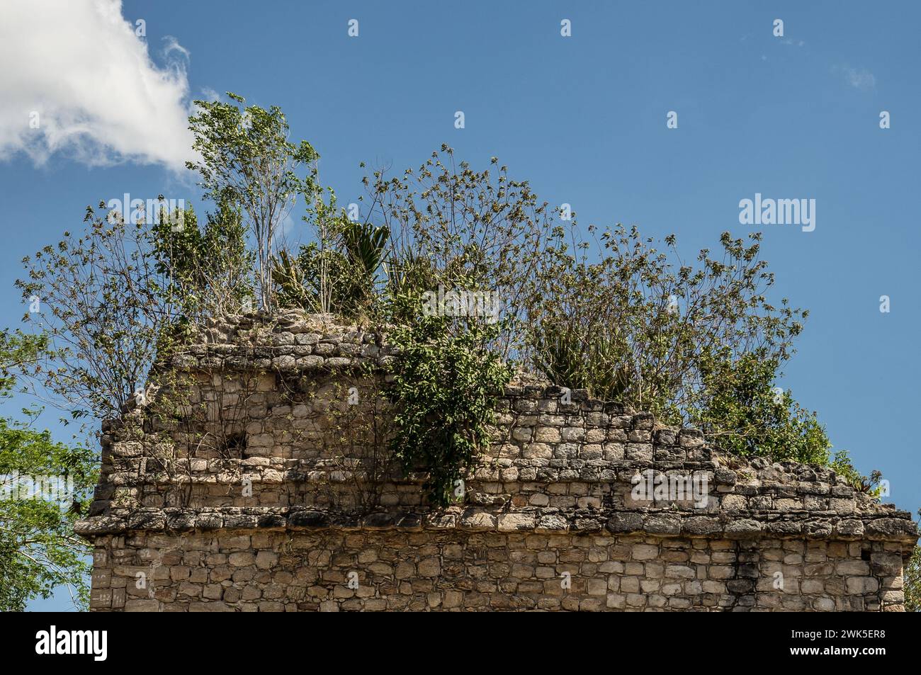 Ek Balam Maya archeological site, Yucatan, Mexico Stock Photo - Alamy