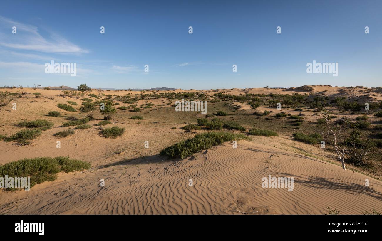 The breathtakingly beautiful landscape of the Gobi Desert, dotted with ...