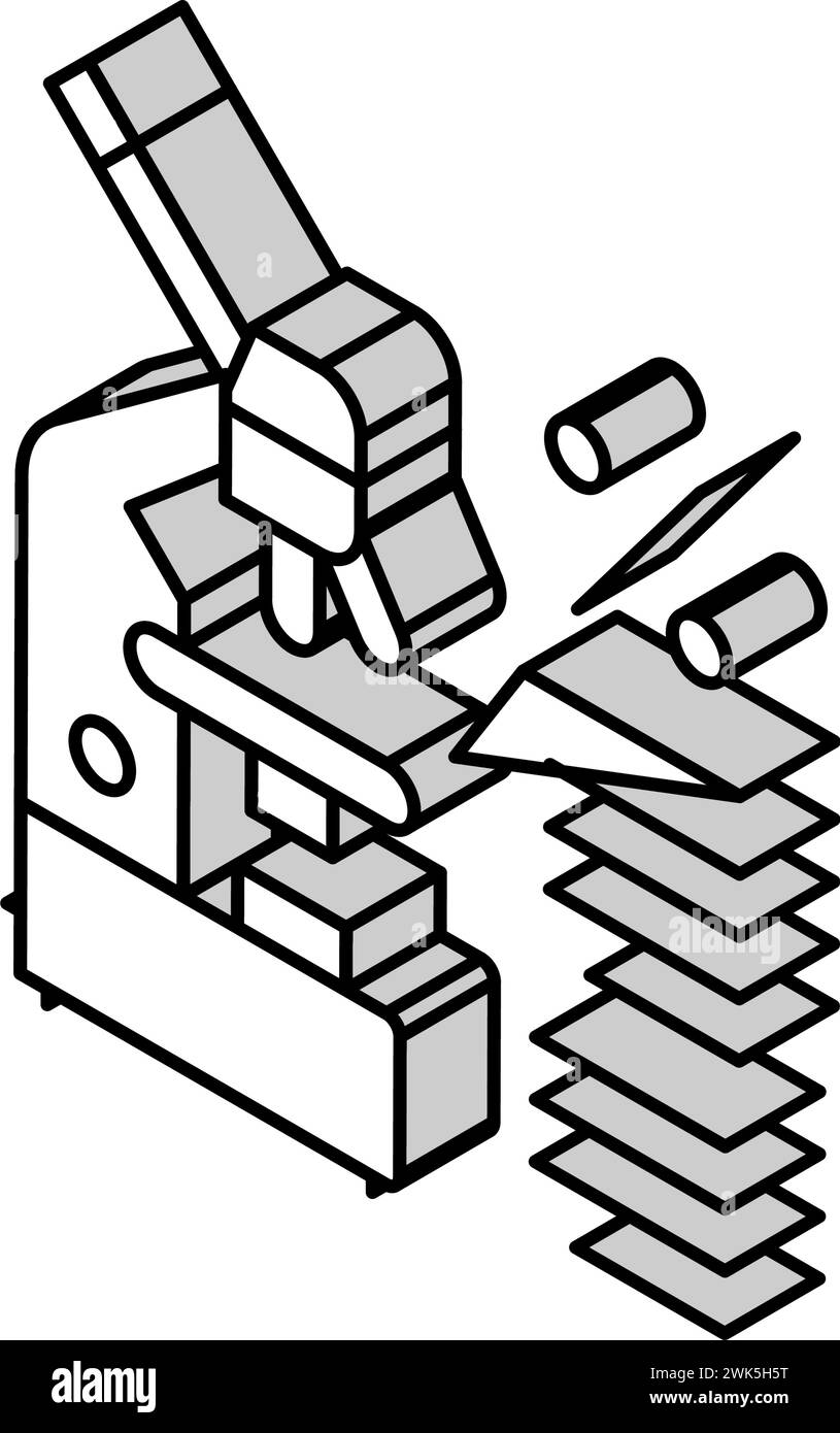 live birth rate isometric icon vector illustration Stock Vector Image ...