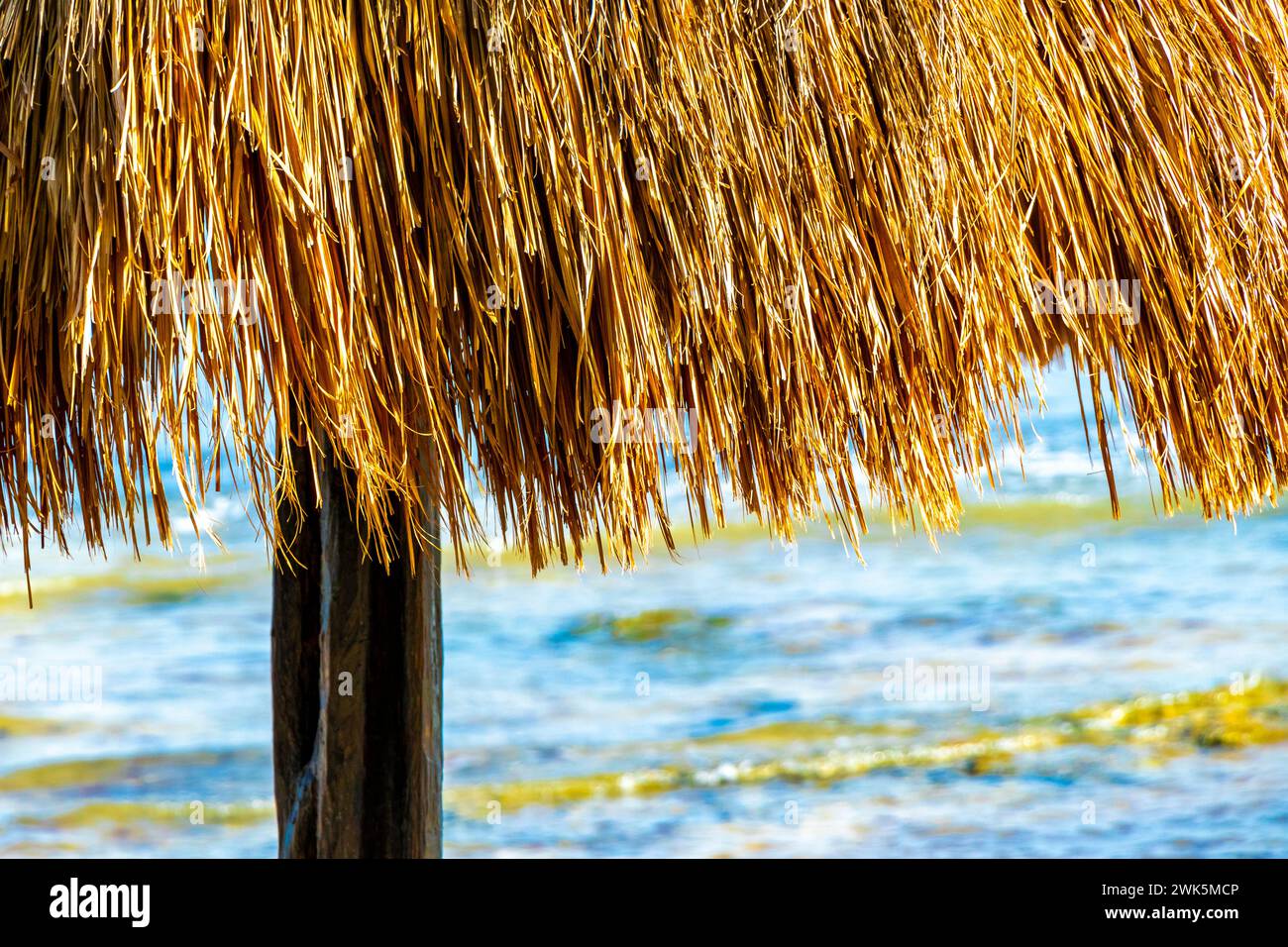 Palm tree Palapa roof tables and hats on the beach for visitors in ...