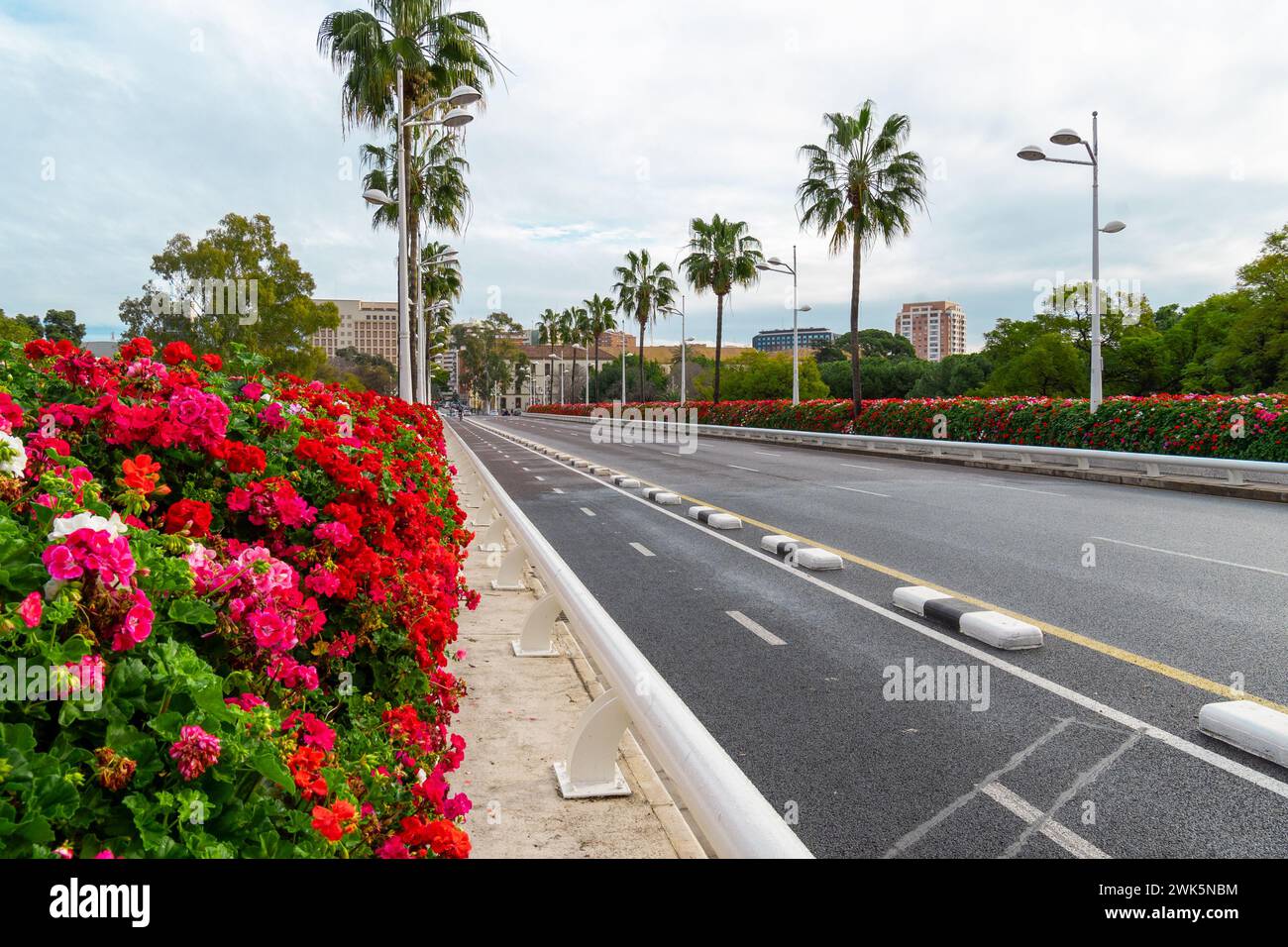 An empty asphalt road decorated with flowers and palm trees. Panorama ...