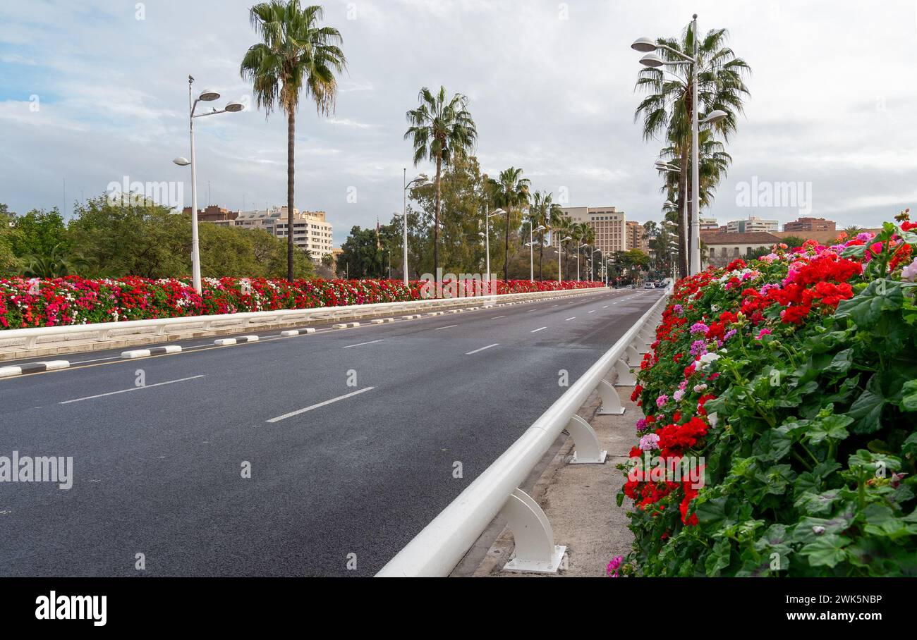 An empty asphalt road decorated with flowers and palm trees. Panorama ...
