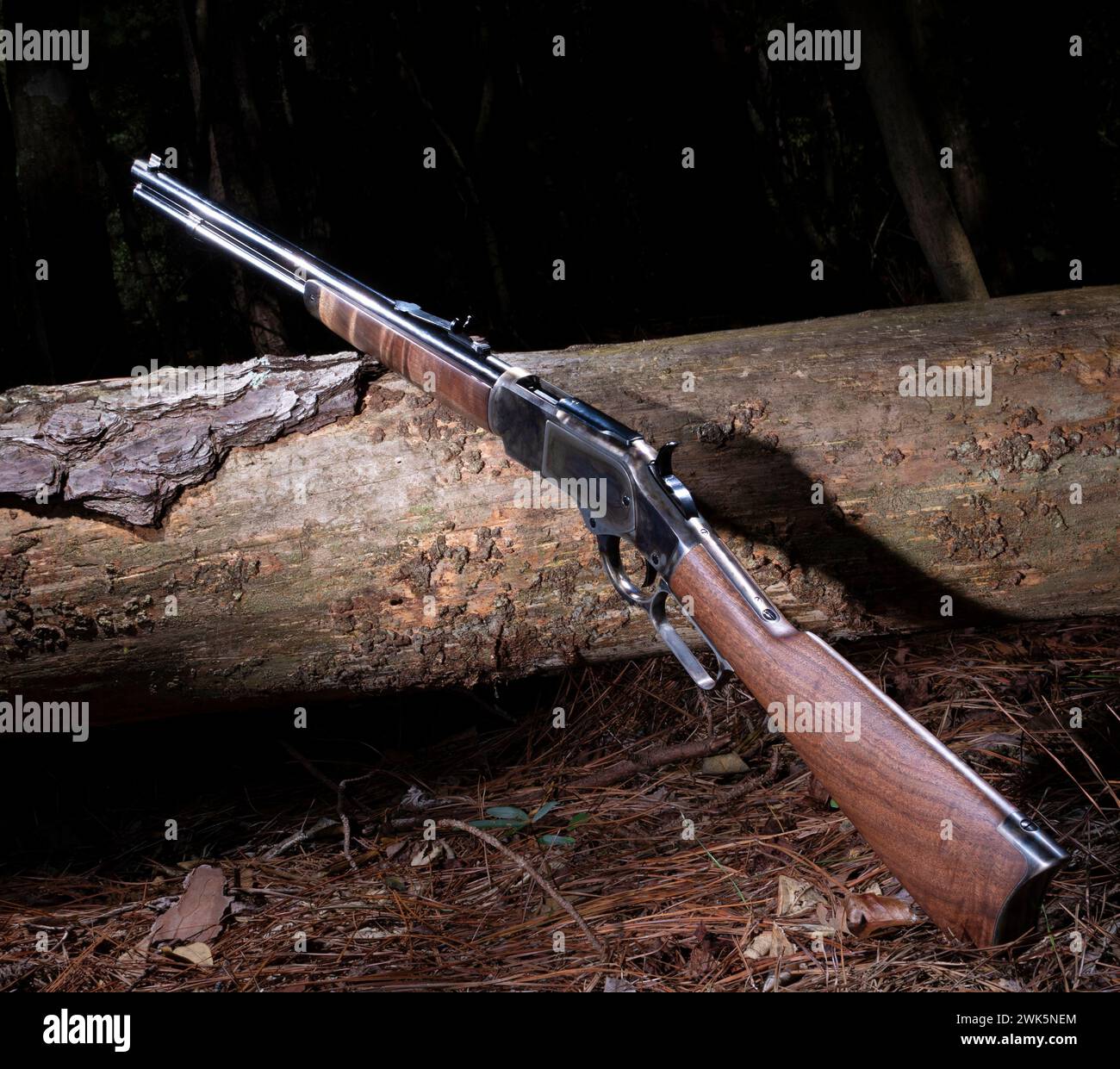 Lever action rifle leaned up against a downed log in the forest at ...