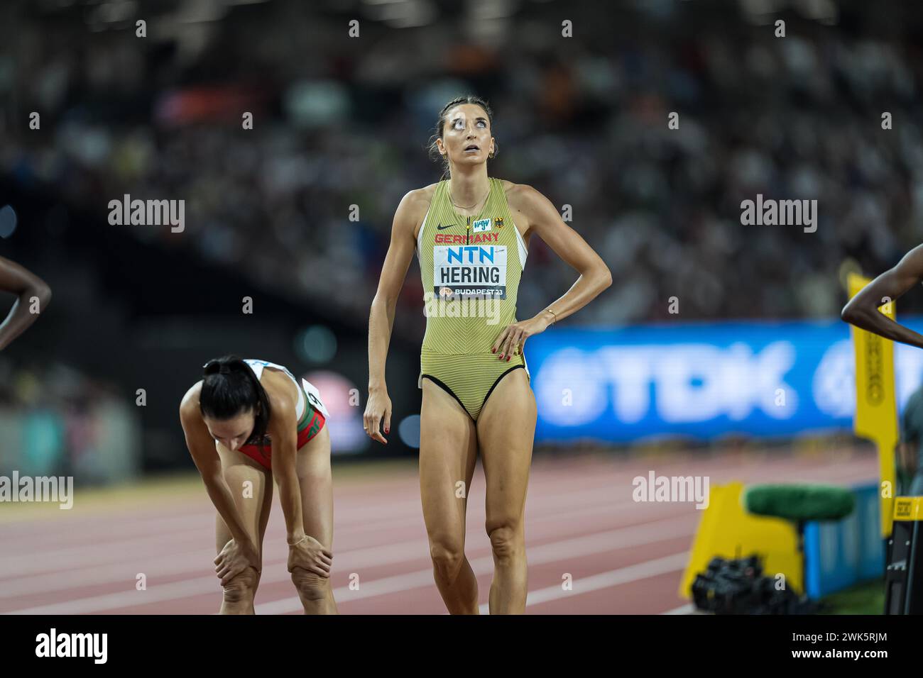 Hering 800 meter hi-res stock photography and images - Alamy