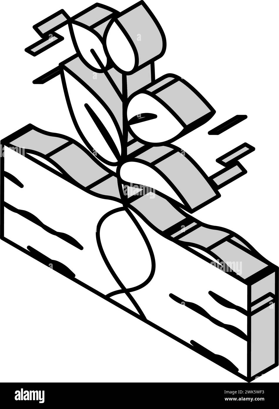 Genetic modification plant Black and White Stock Photos & Images - Alamy