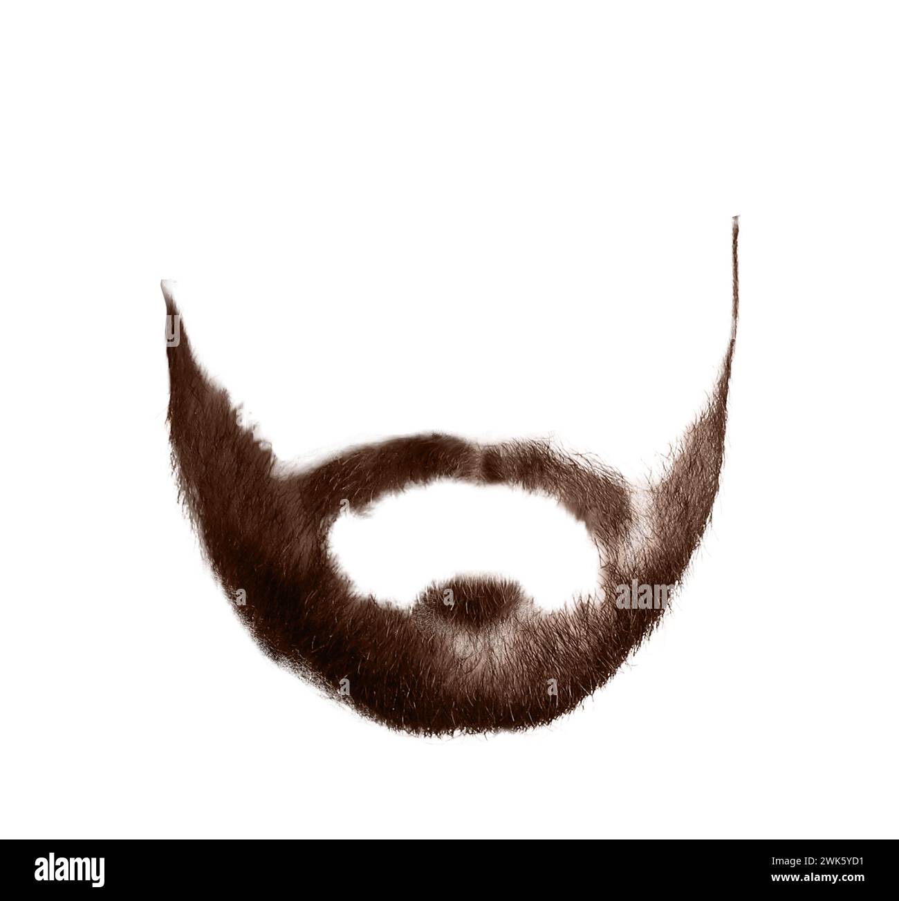 Portrait mans beard Cut Out Stock Images & Pictures - Alamy