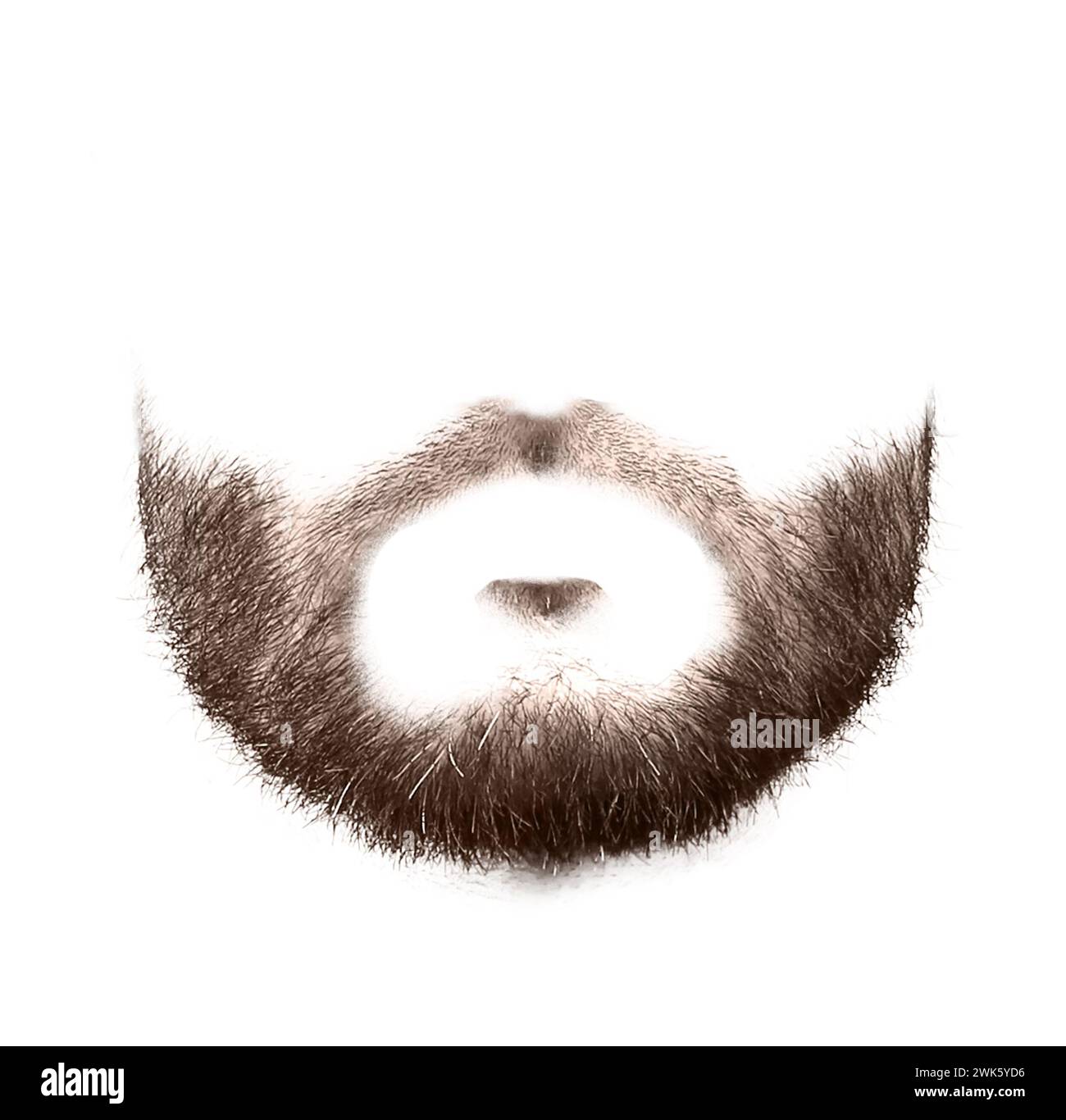 Stylish man's bear style isolated on white Stock Photo - Alamy