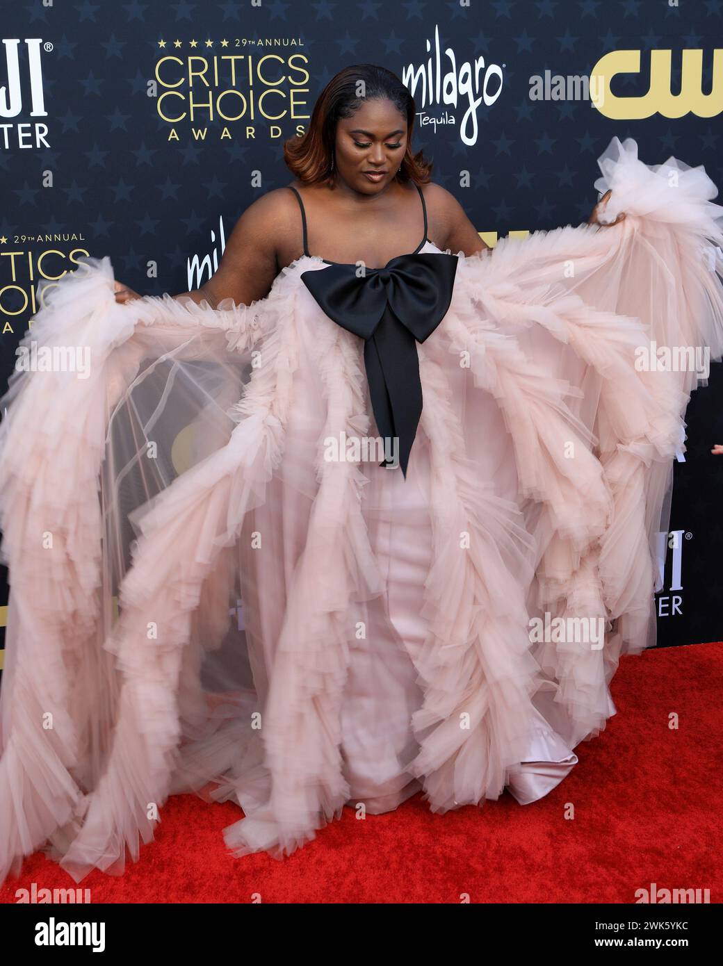 29th Annual Critics Choice Awards - Arrivals at the Barker Hanger on ...