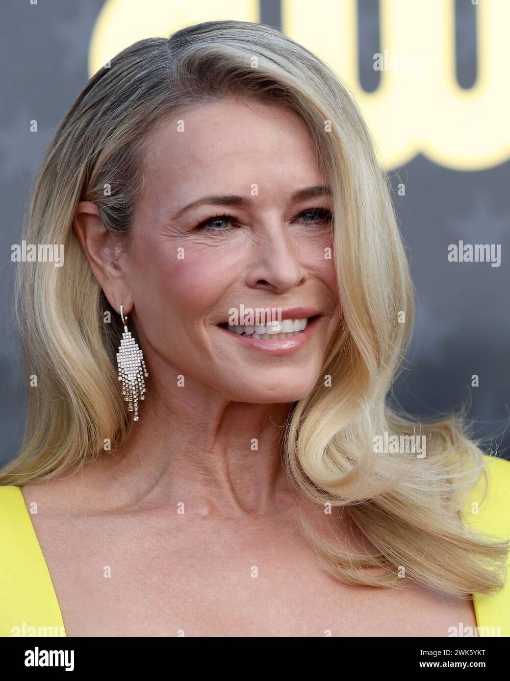 29th Annual Critics Choice Awards - Arrivals at the Barker Hanger on ...