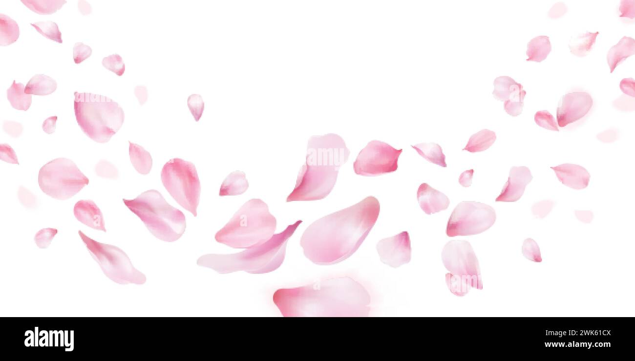 Rose petals fall floor Stock Vector Images - Alamy