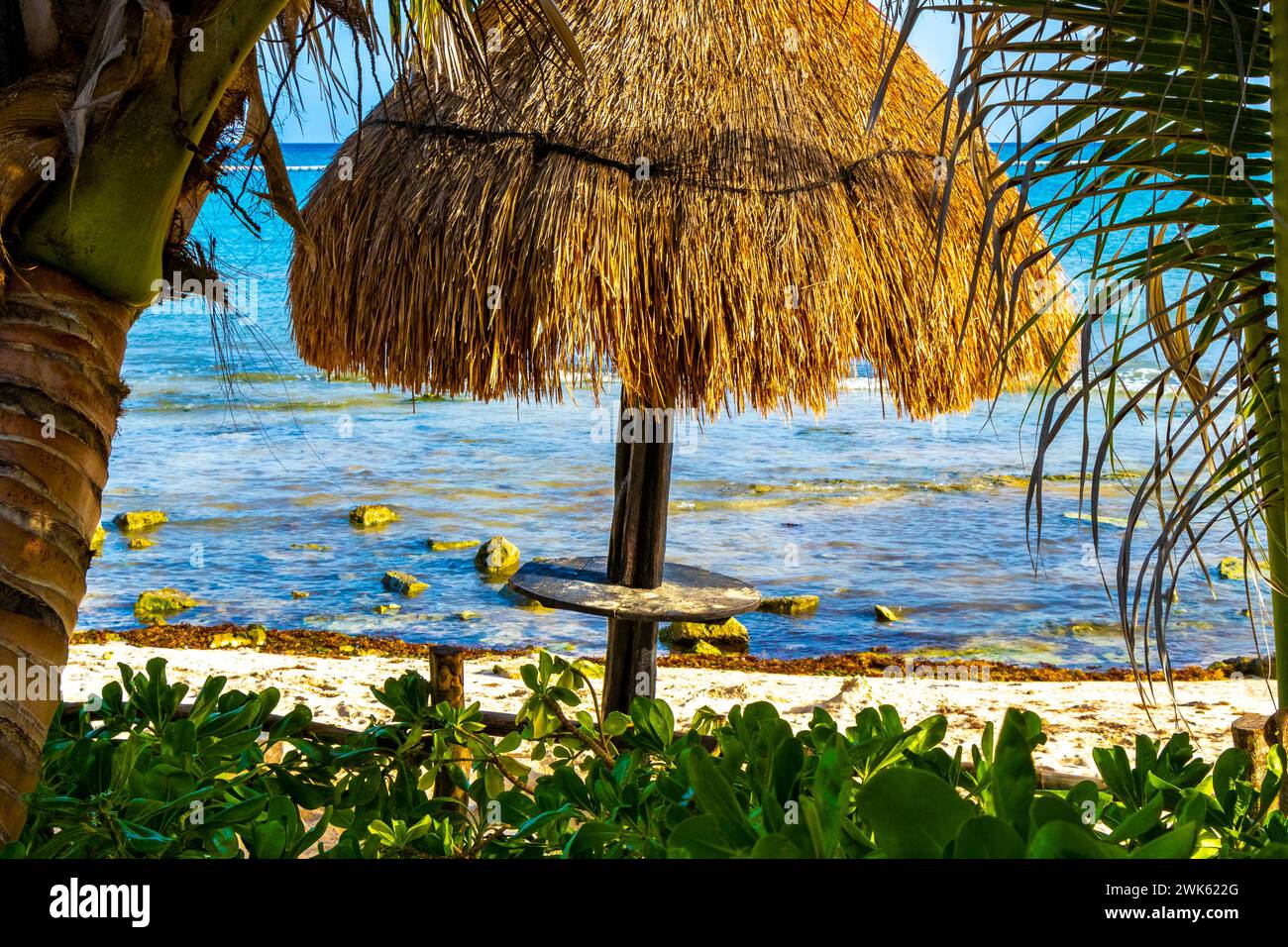 Palm tree Palapa roof tables and hats on the beach for visitors in ...