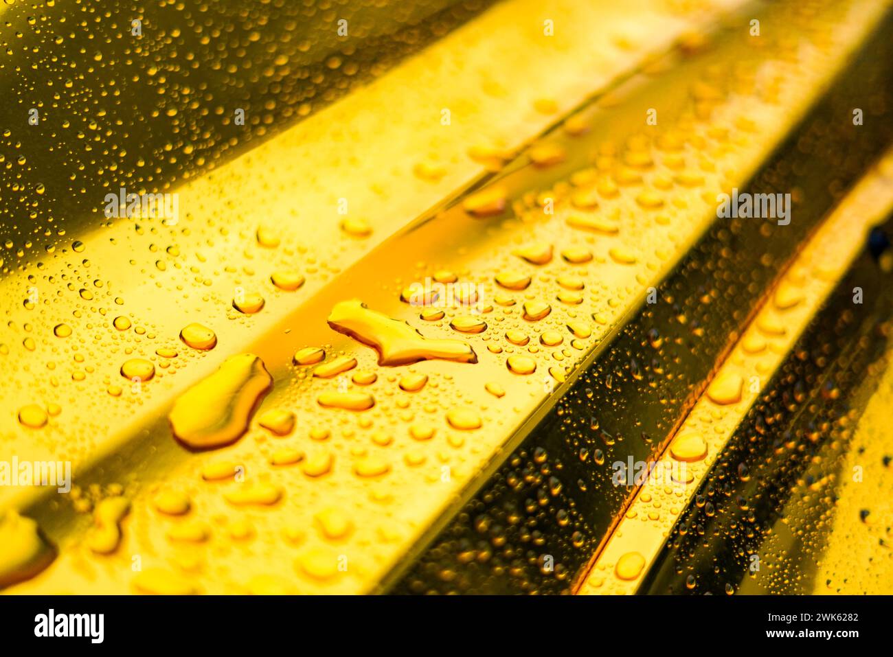 Golden abstract background with droplets Stock Photo - Alamy