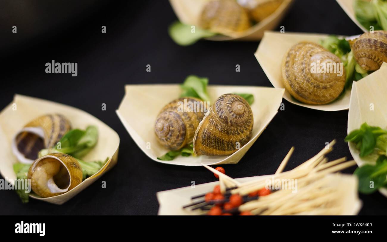 Edible snails. French cuisine. Close up Stock Photo - Alamy