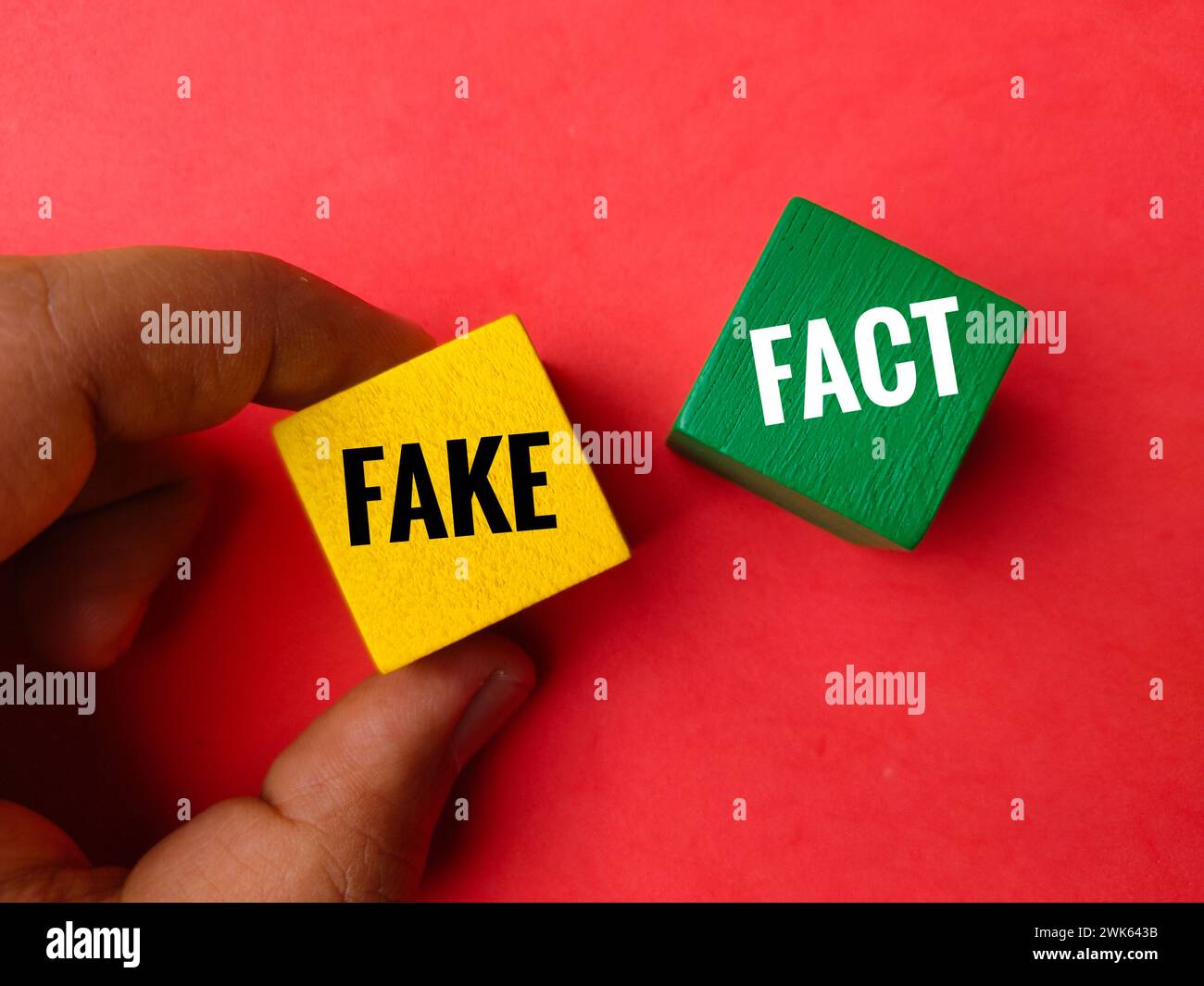 Hand holding colored cube with text FAKE FACT on red background Stock ...