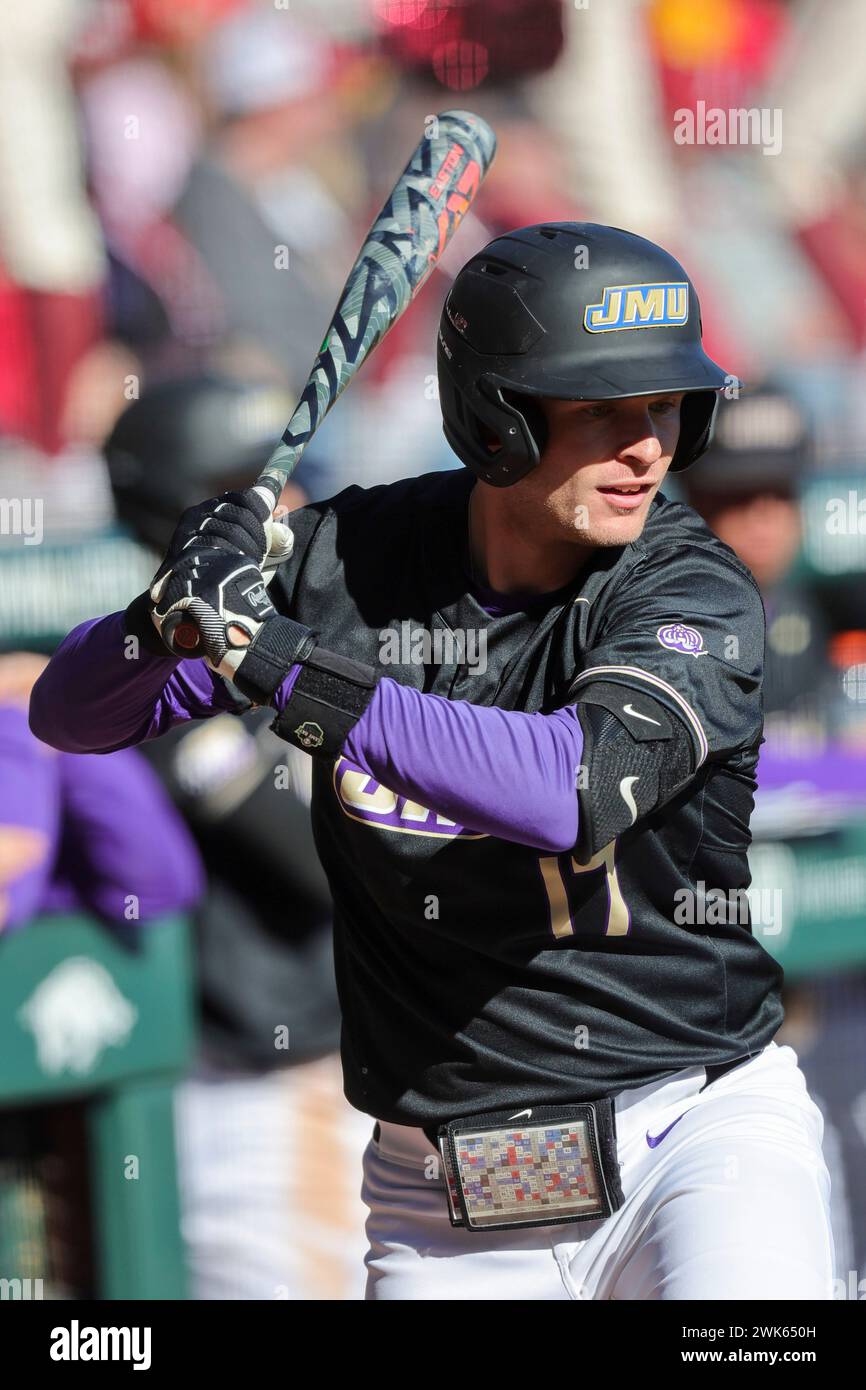 February 18, 2024: Jacob Steinberg #17 loosens up in the on deck circle ...