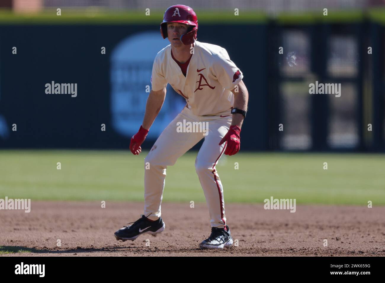 February 18, 2024: Ty Wilmsmeyer #1 of Arkansas works to extend his ...