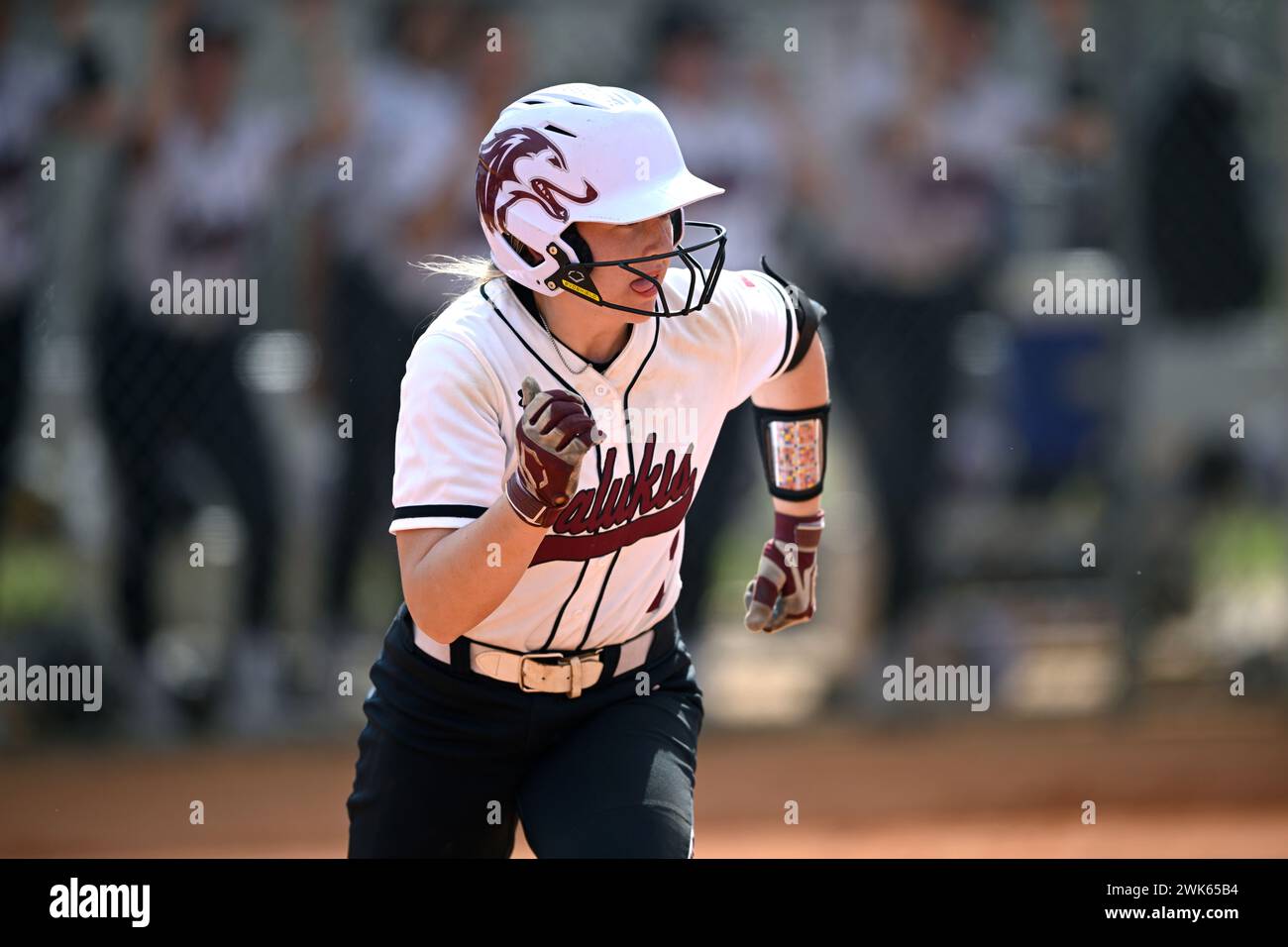 Southern Illinois infielder Rylie Hamilton (1) during an NCAA softball ...