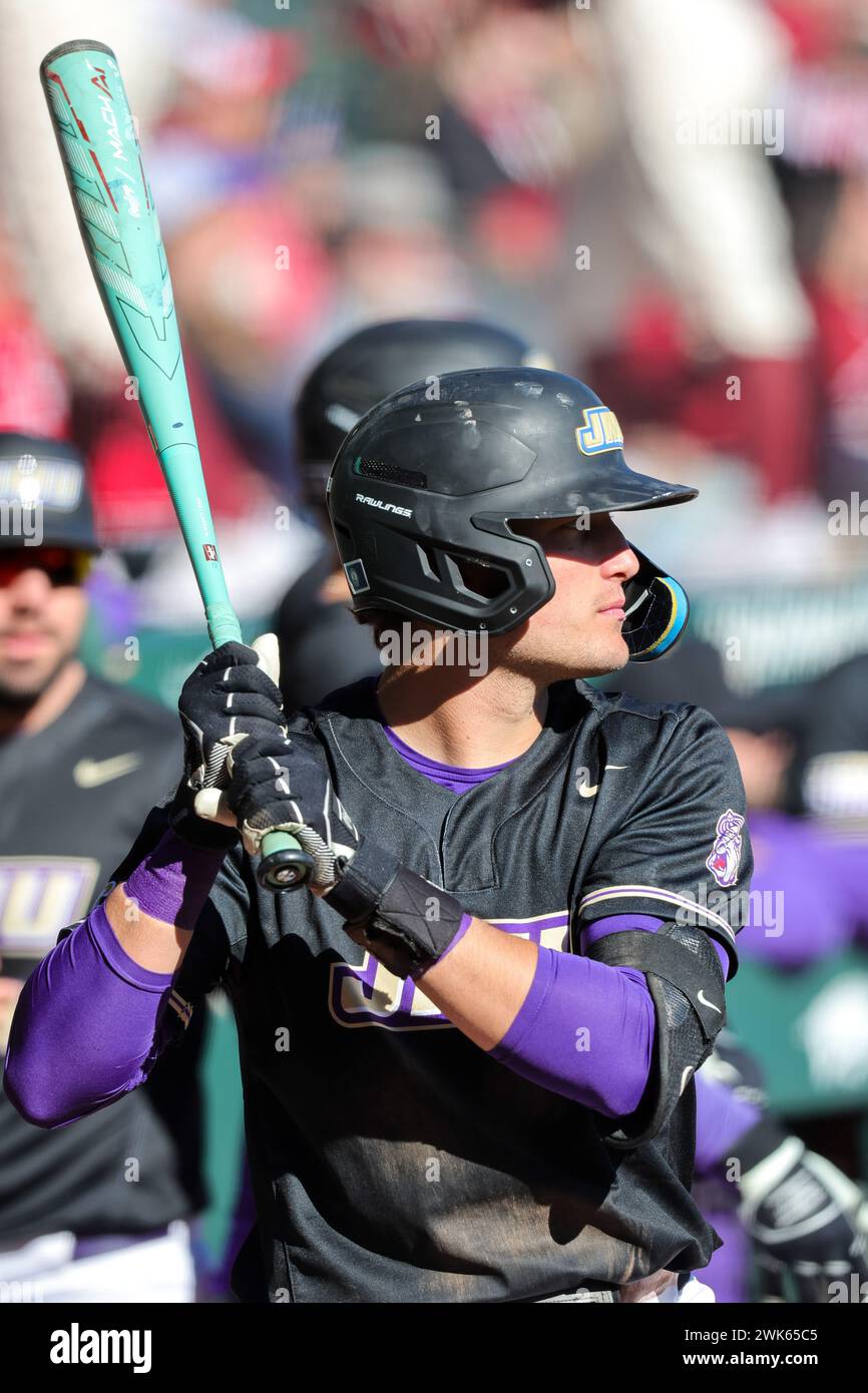 February 18, 2024: Coleman Calabrese #11 of JMU watches as the pitcher ...