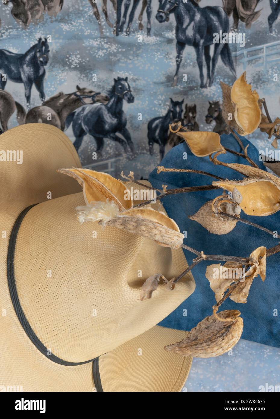 Milk weed pods over western straw cowboy hat show horses on the run in ...