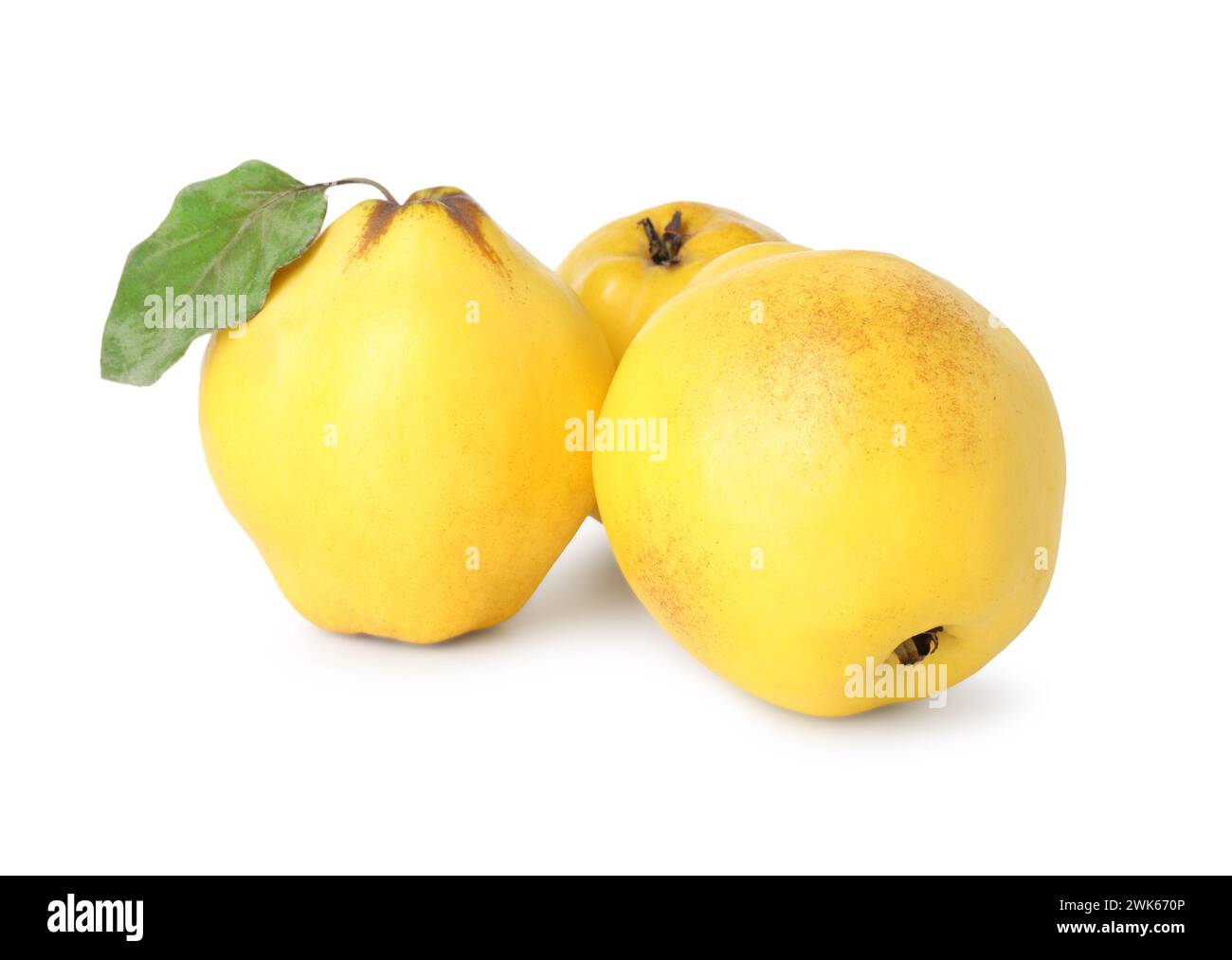Fresh ripe quince fruits Cut Out Stock Images & Pictures - Alamy
