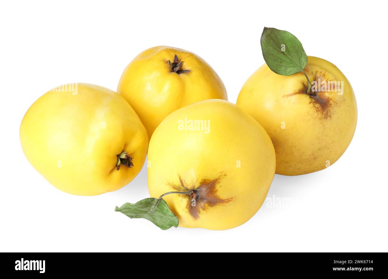 Fresh ripe quince fruits isolated on white Stock Photo - Alamy