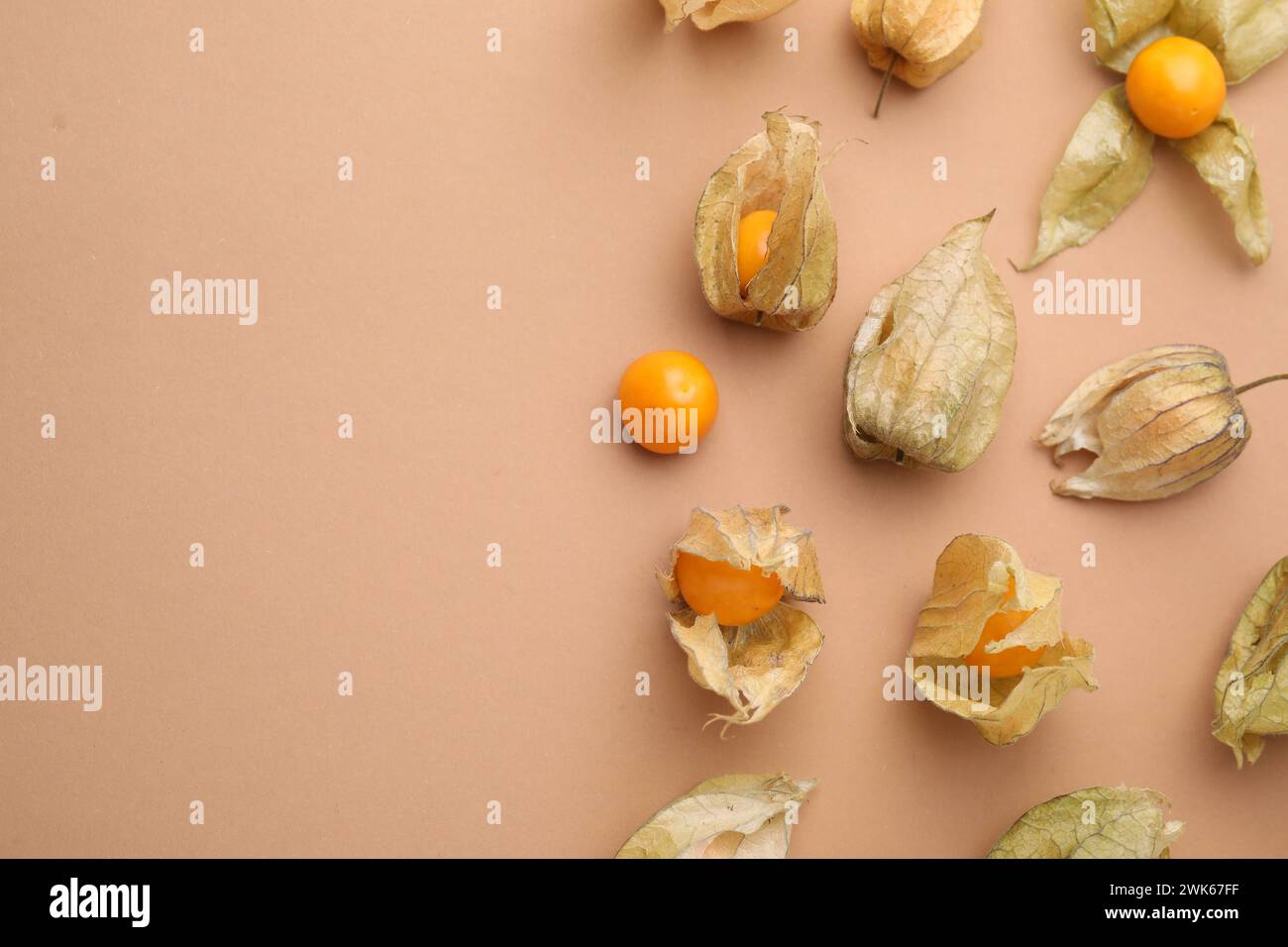 Ripe physalis fruits with calyxes on beige background, flat lay. Space ...