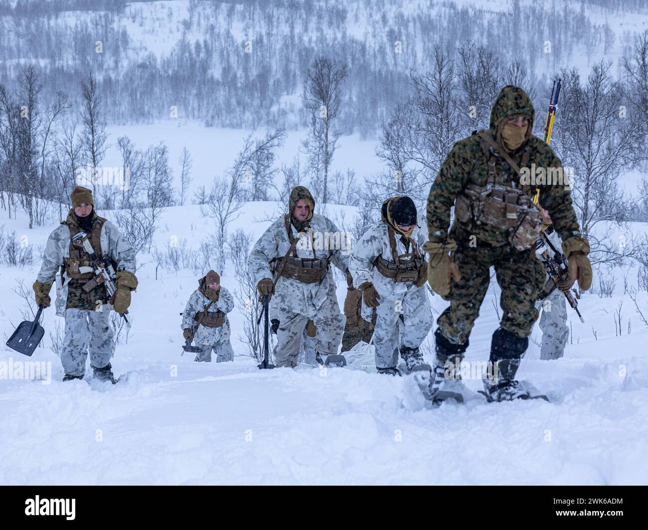 U.S. Marines with 1st Battalion, 2nd Marine Regiment, 2nd Marine ...