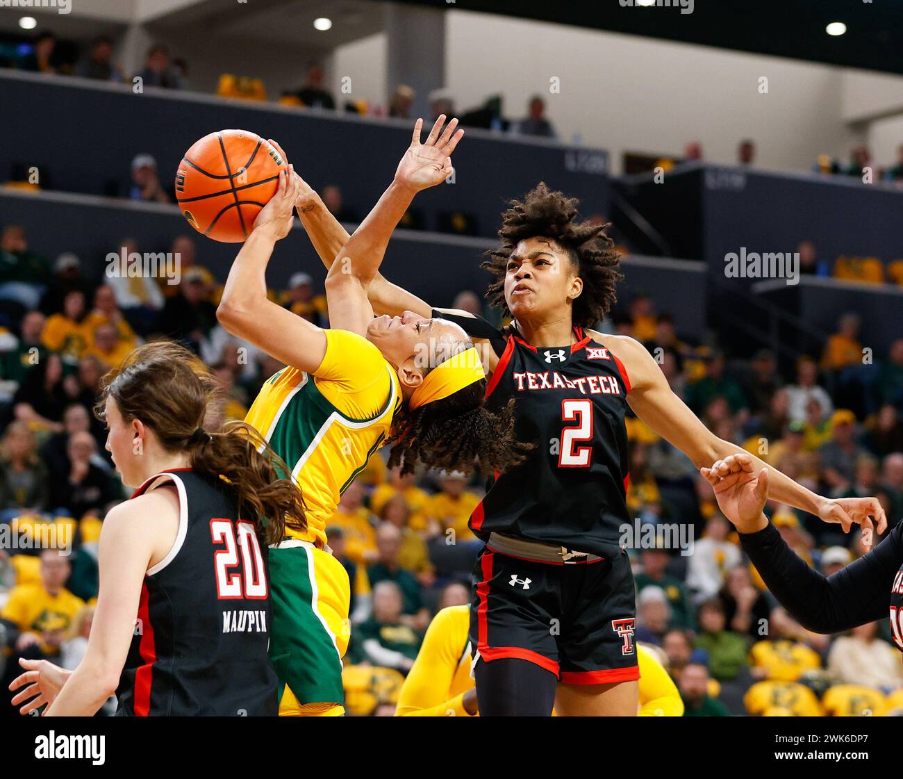 Ncaaw bayvsttu 2024 hi-res stock photography and images - Alamy